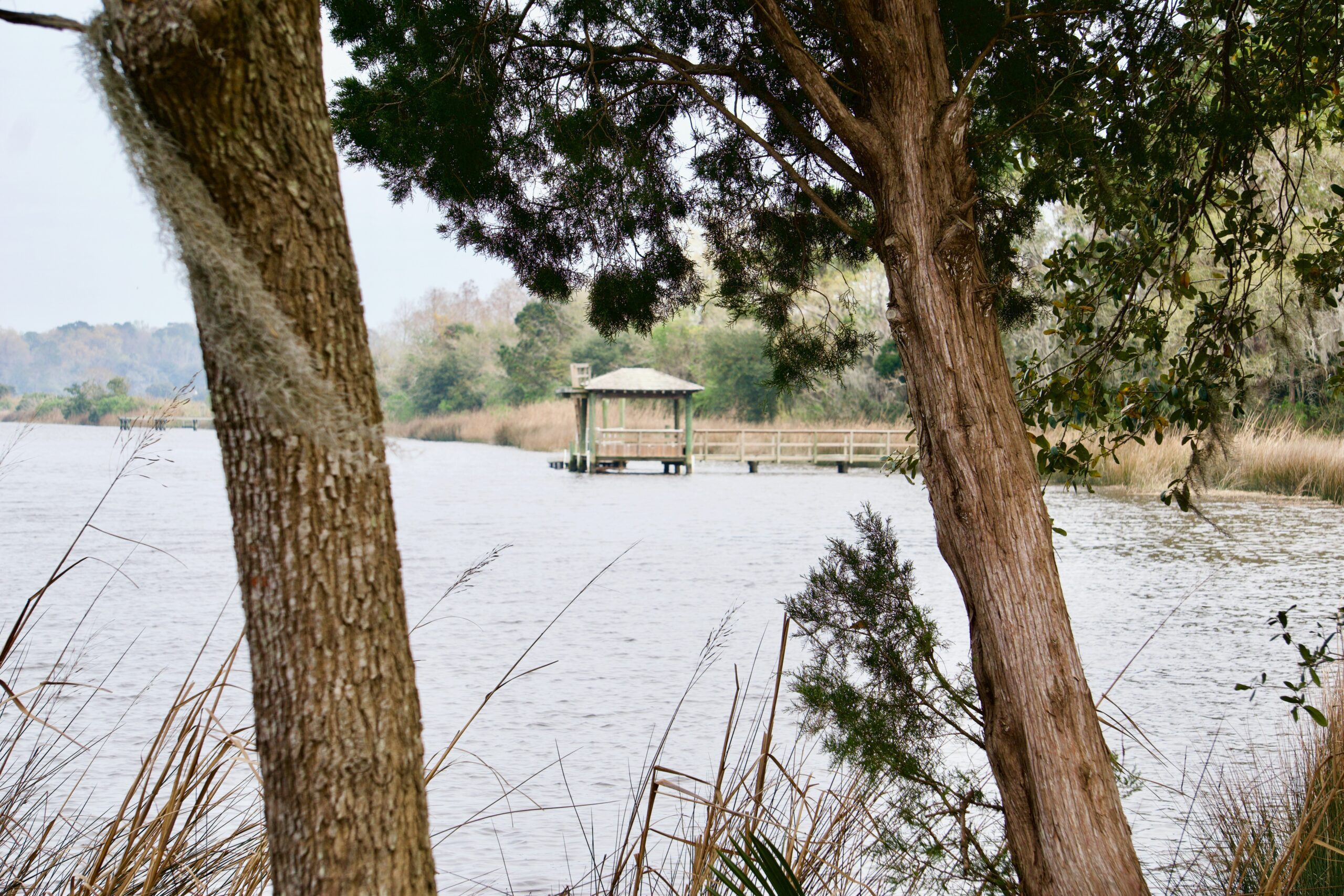 Watersports & Boat Tours in Little River